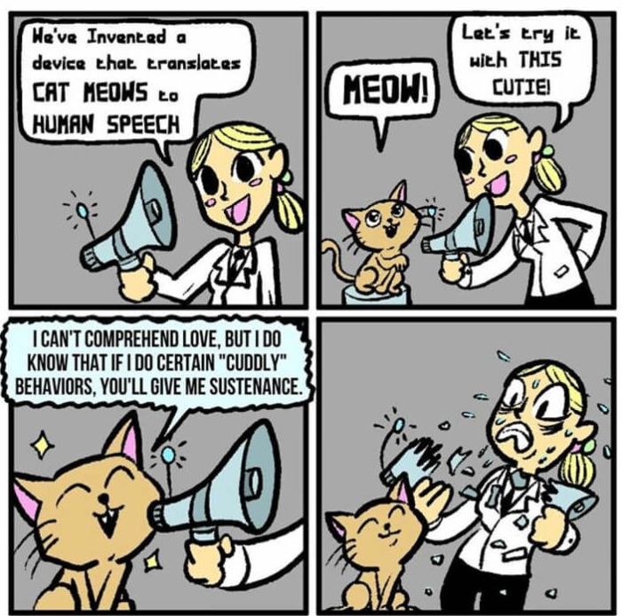 40+ Hilarious 'Cat Trigger Comics' With A Surprising Twist - Worldlyhistory