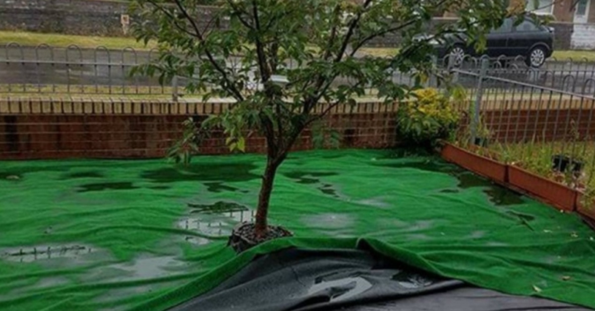 35+ Worst Garden Trends and Designs to Avoid